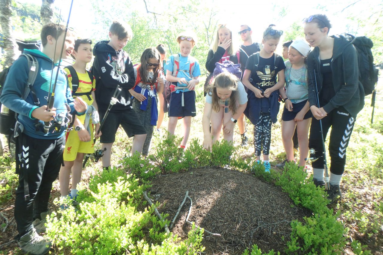 Fantastisk vårveke på fjellet for Sande og Sola skole - Gullingen Leirskule