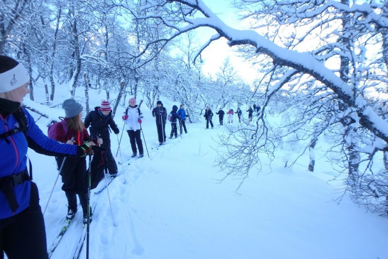 Blide elevar frå Moster og Meling - Gullingen Leirskule