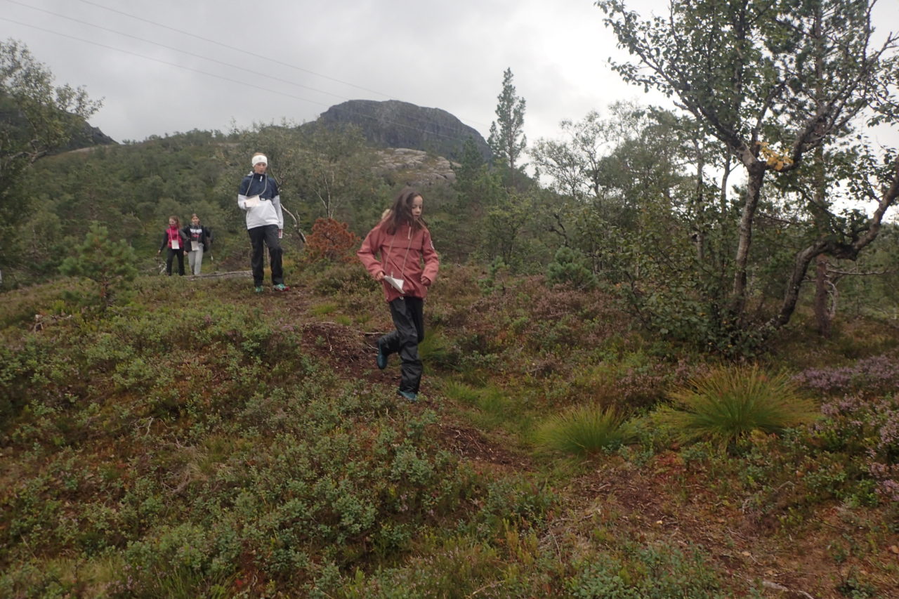 Høgt og lågt med Vikedal skule - Gullingen Leirskule