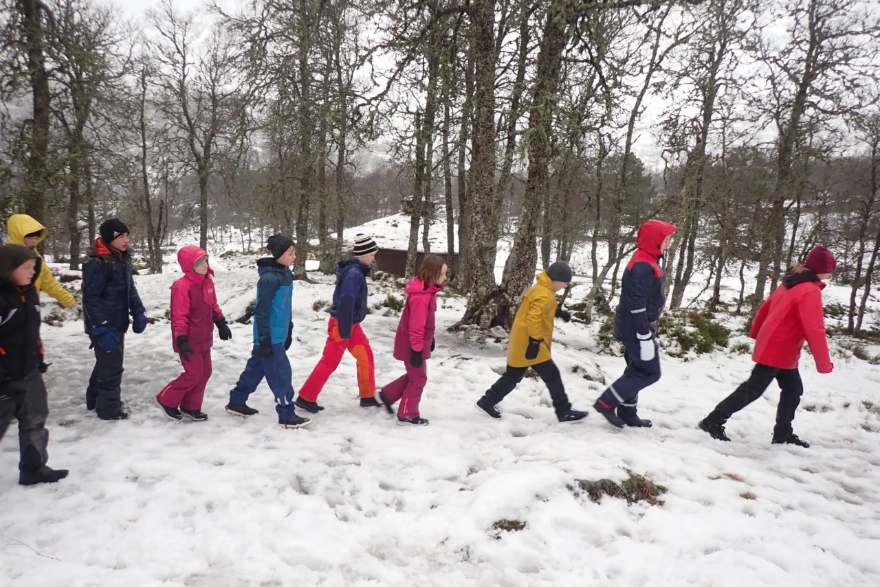 Glimt frå ei flott veke med Meling skule - Gullingen Leirskule