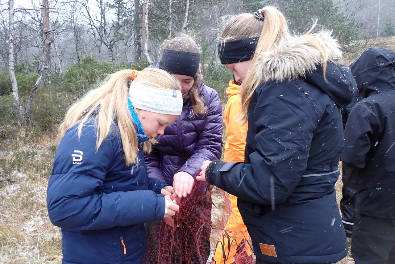 Flotte opplevingar for 8. trinn frå Ølen skule - Gullingen Leirskule